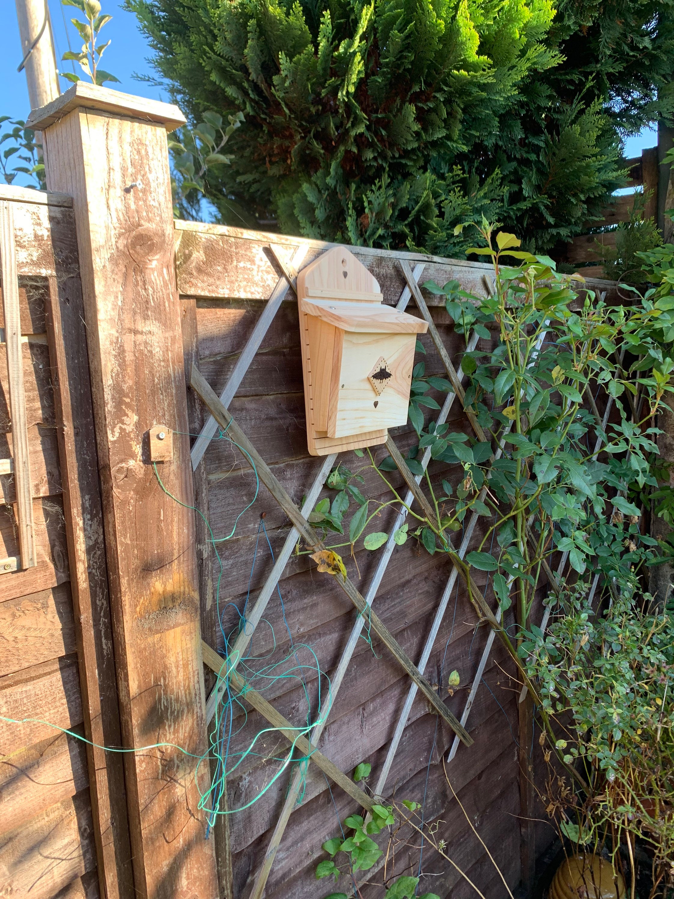 Bat Box Bat House Single Chamber Bat Box - Etsy UK