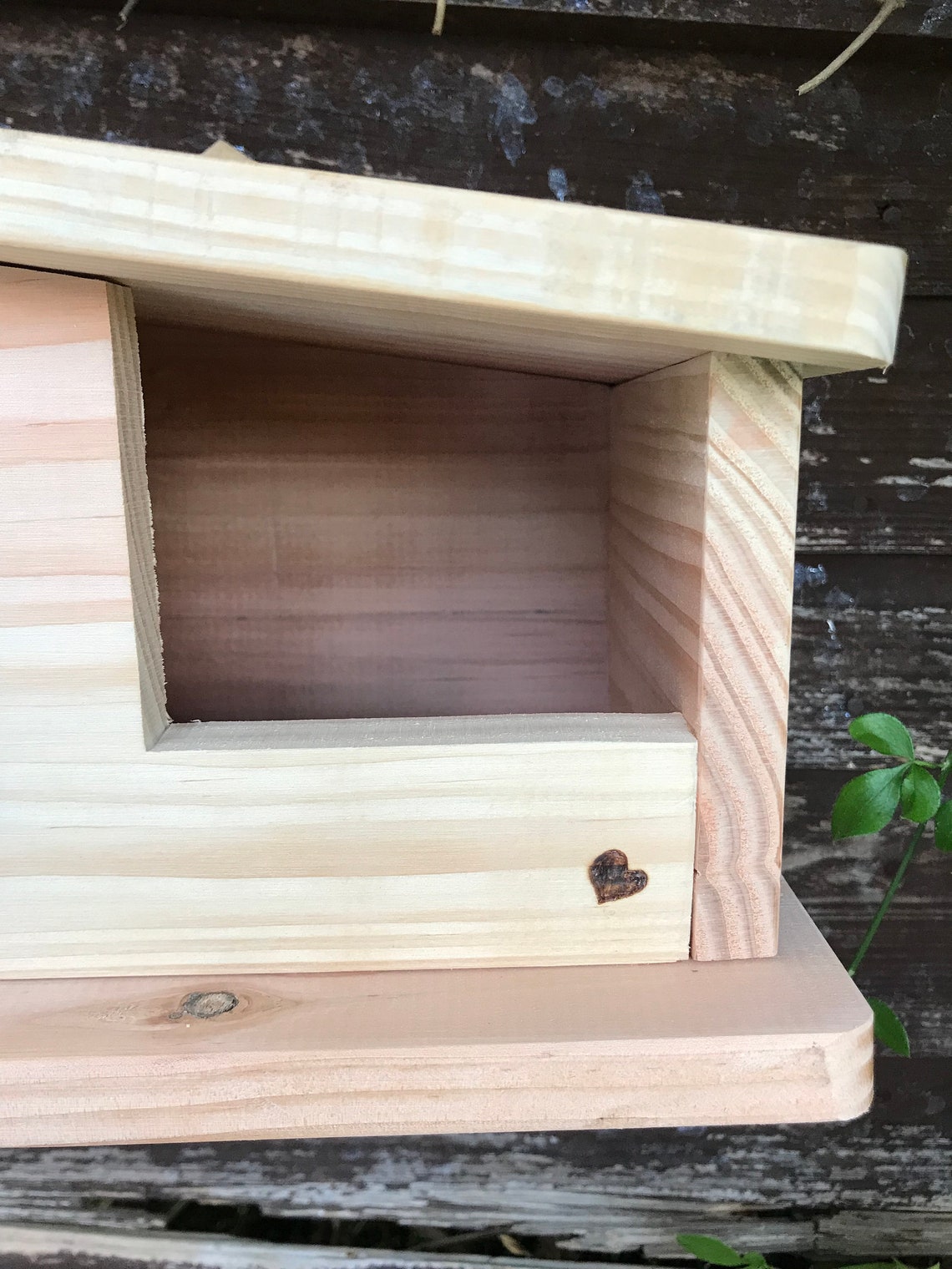 Robin and Wren Open Front Nesting Box Bird House - Etsy