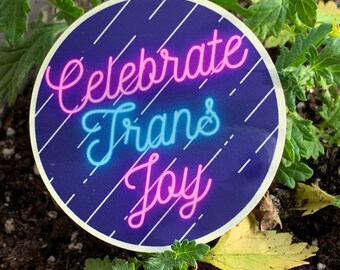 Trans Joy Sticker - Etsy