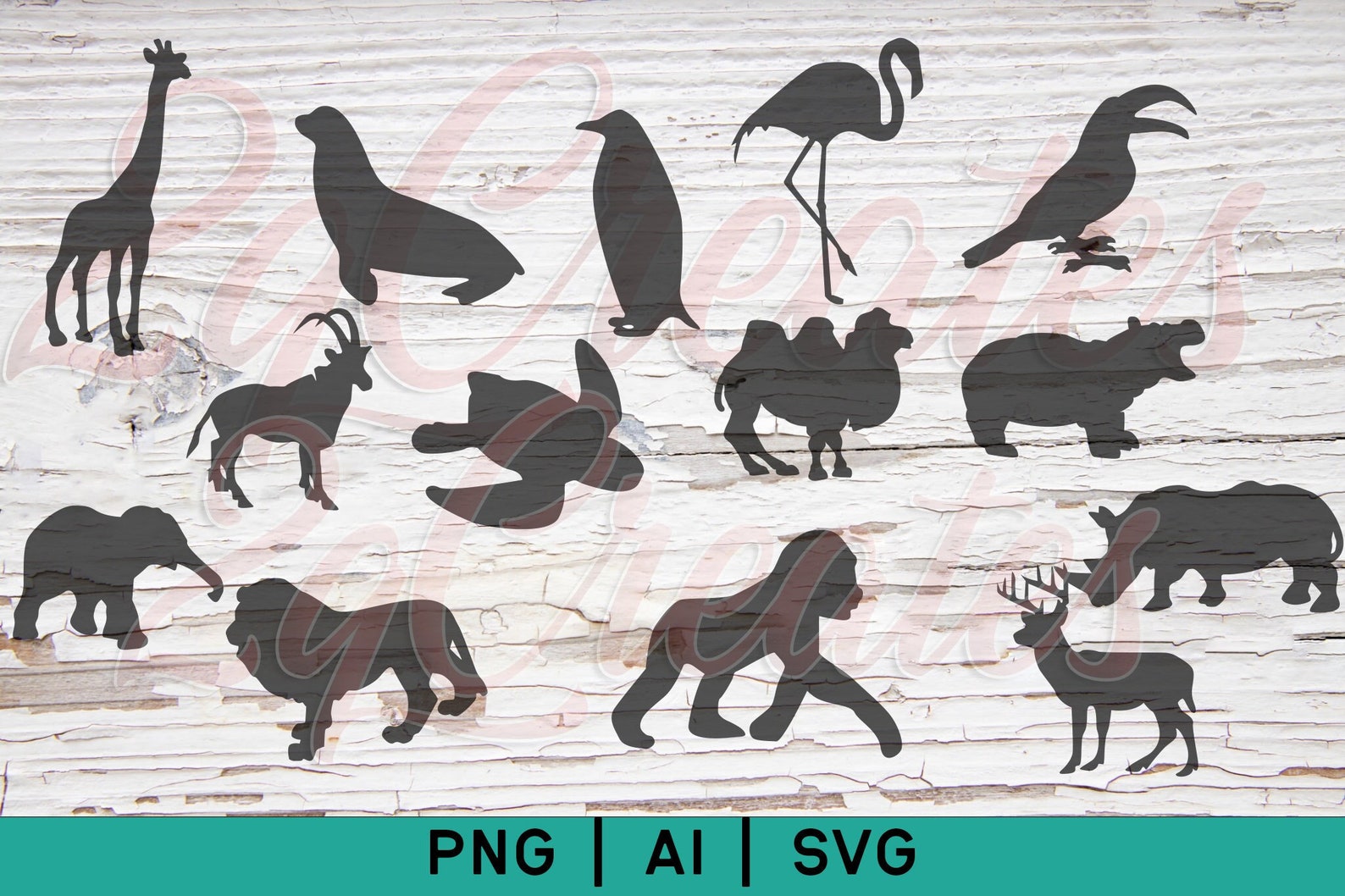 Safari Animals SVG Zoo Animals SVG Lion SVG Jungle animals | Etsy
