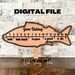 Fish Measurement Plaque - Father's Day, Gift, Svg, Digital, Laser ...