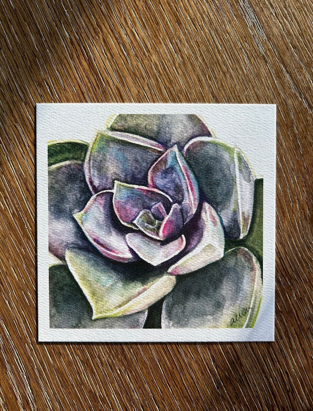 5x5 Watercolor Succulent Print - Etsy