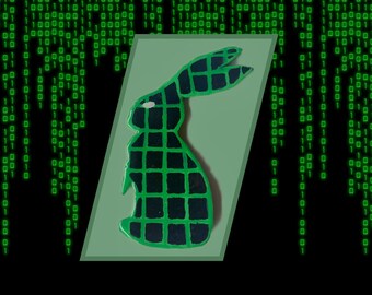 Matrix White Rabbit - Etsy