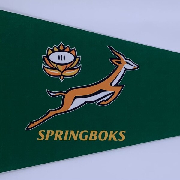 South Africa Pin - Etsy