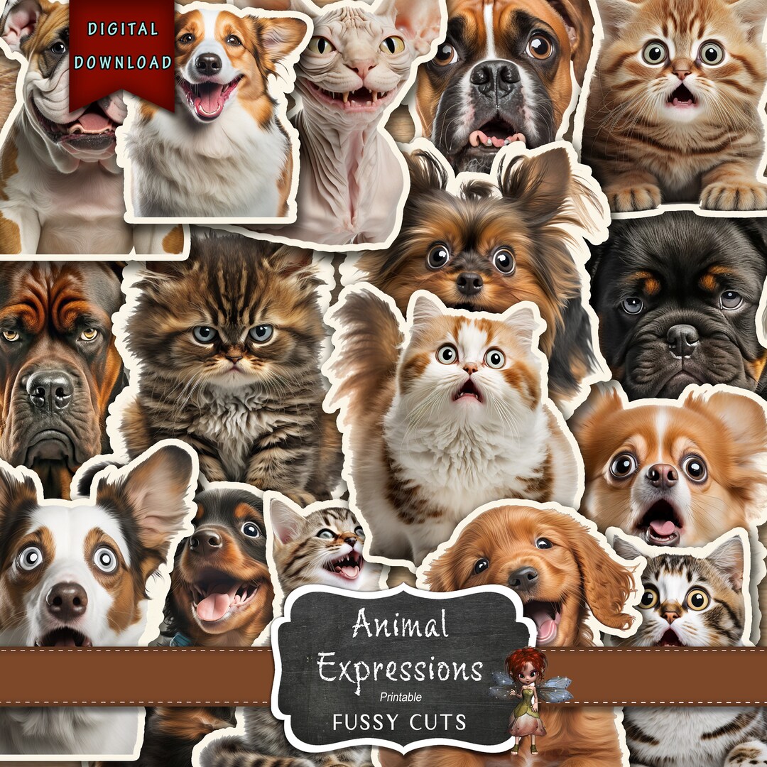 Funny Animal Expressions Ephemera, Pet , Clip Art, Digital Download ...