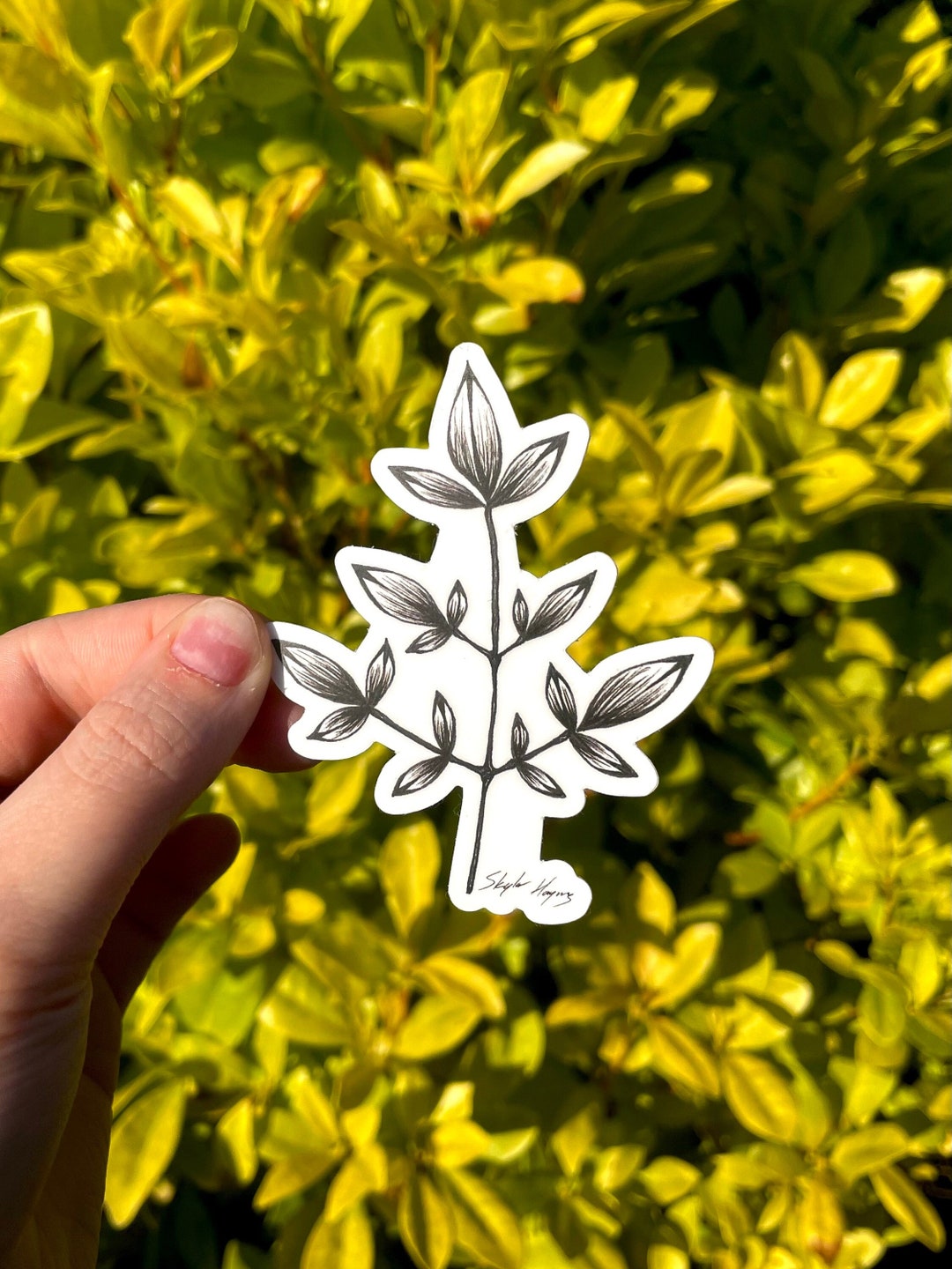 Sprout Sticker 2.42" X 3" - Etsy