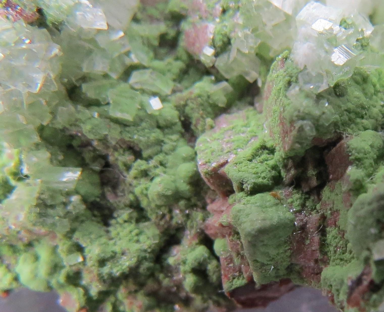 Conichalcite on Quartz, Tsumeb, Namibia - Etsy