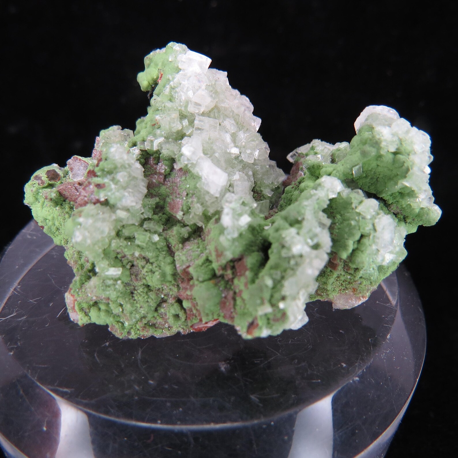 Conichalcite on Quartz, Tsumeb, Namibia - Etsy