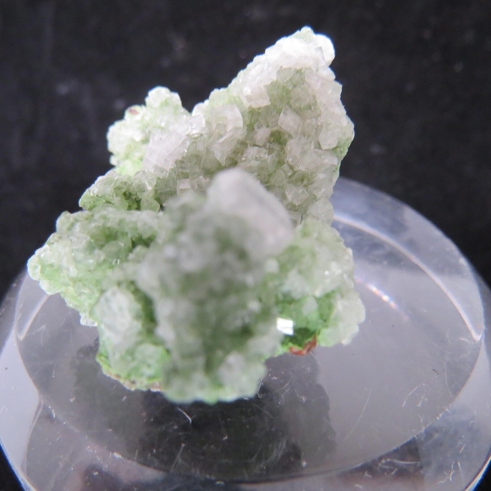 Conichalcite on Quartz, Tsumeb, Namibia - Etsy