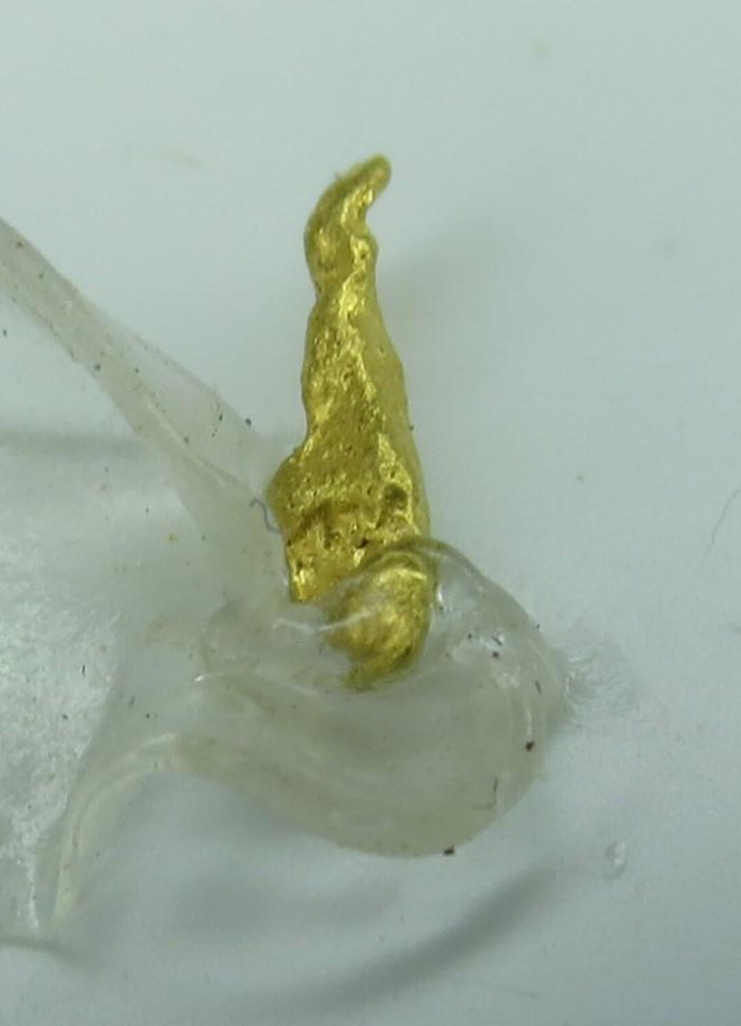 Micro Gold Nugget, New Zealand - Etsy