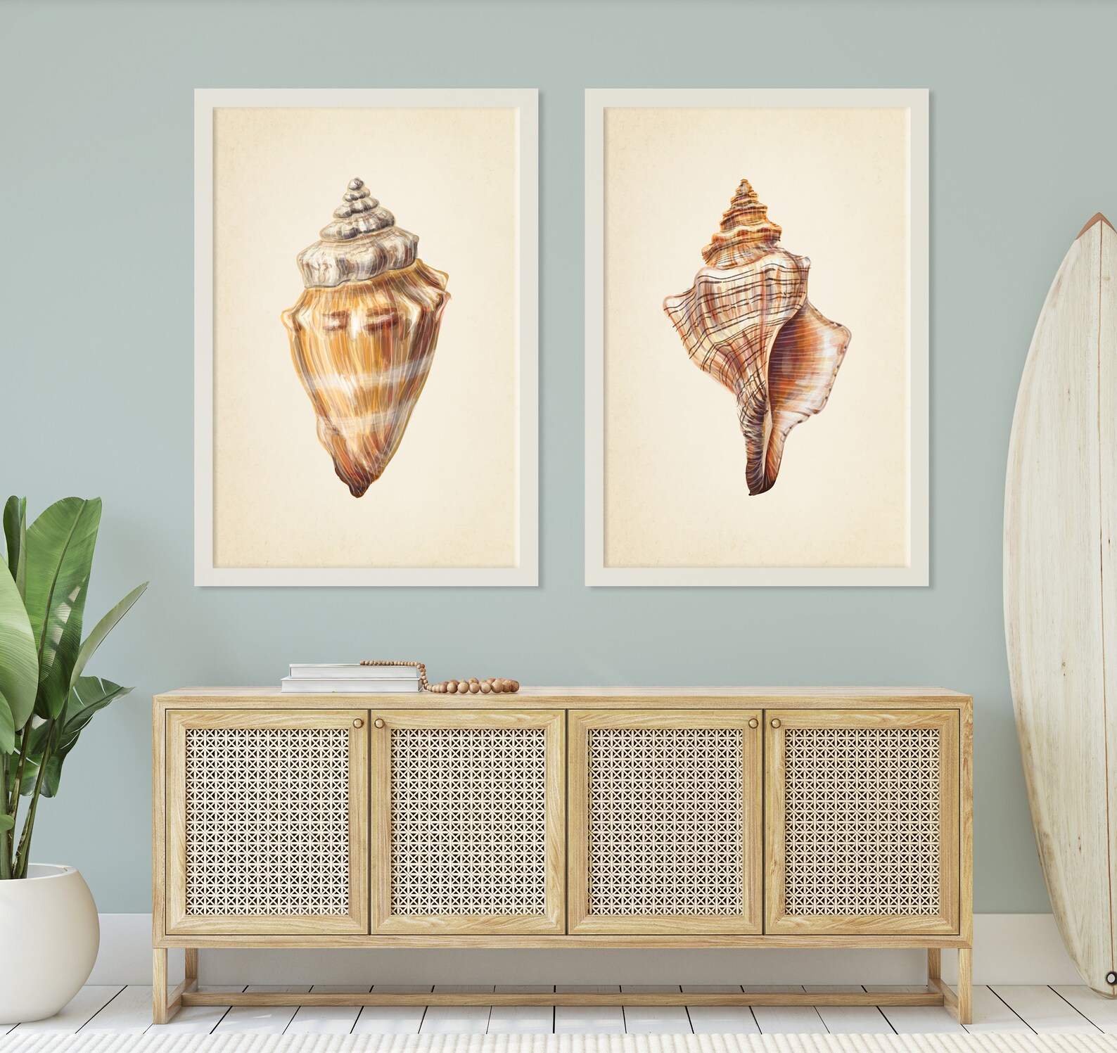 Set of 3 Sea Shells | Sea Shells Home Decor | Summer Art Decor | Beach ...