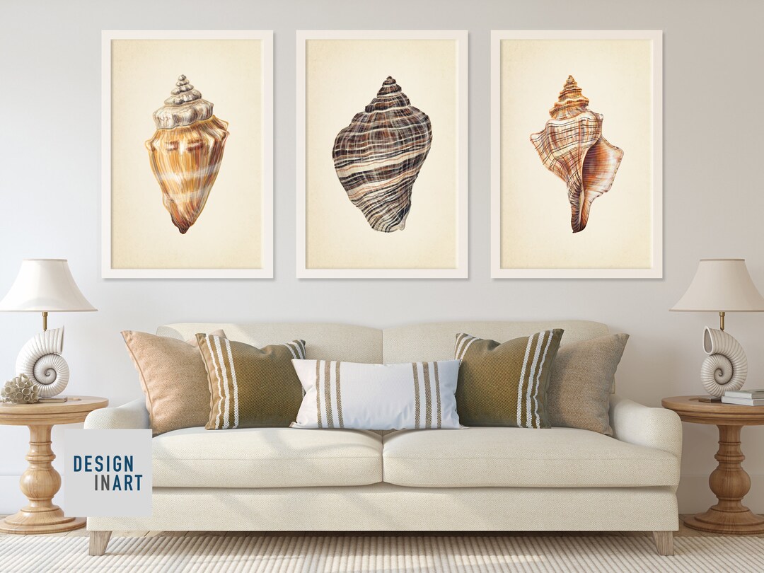 Set of 3 Sea Shells | Sea Shells Home Decor | Summer Art Decor | Beach ...