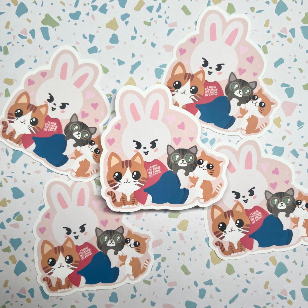 Stray Kids SKZ Lee Know Leebit Skzoo Soonie Doongie Dori Cats - Etsy