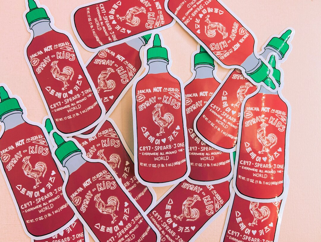 Stray Kids 3RACHA Sticker - Etsy