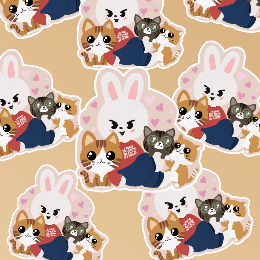 Stray Kids SKZ Lee Know Leebit Skzoo Soonie Doongie Dori Cats - Etsy ...