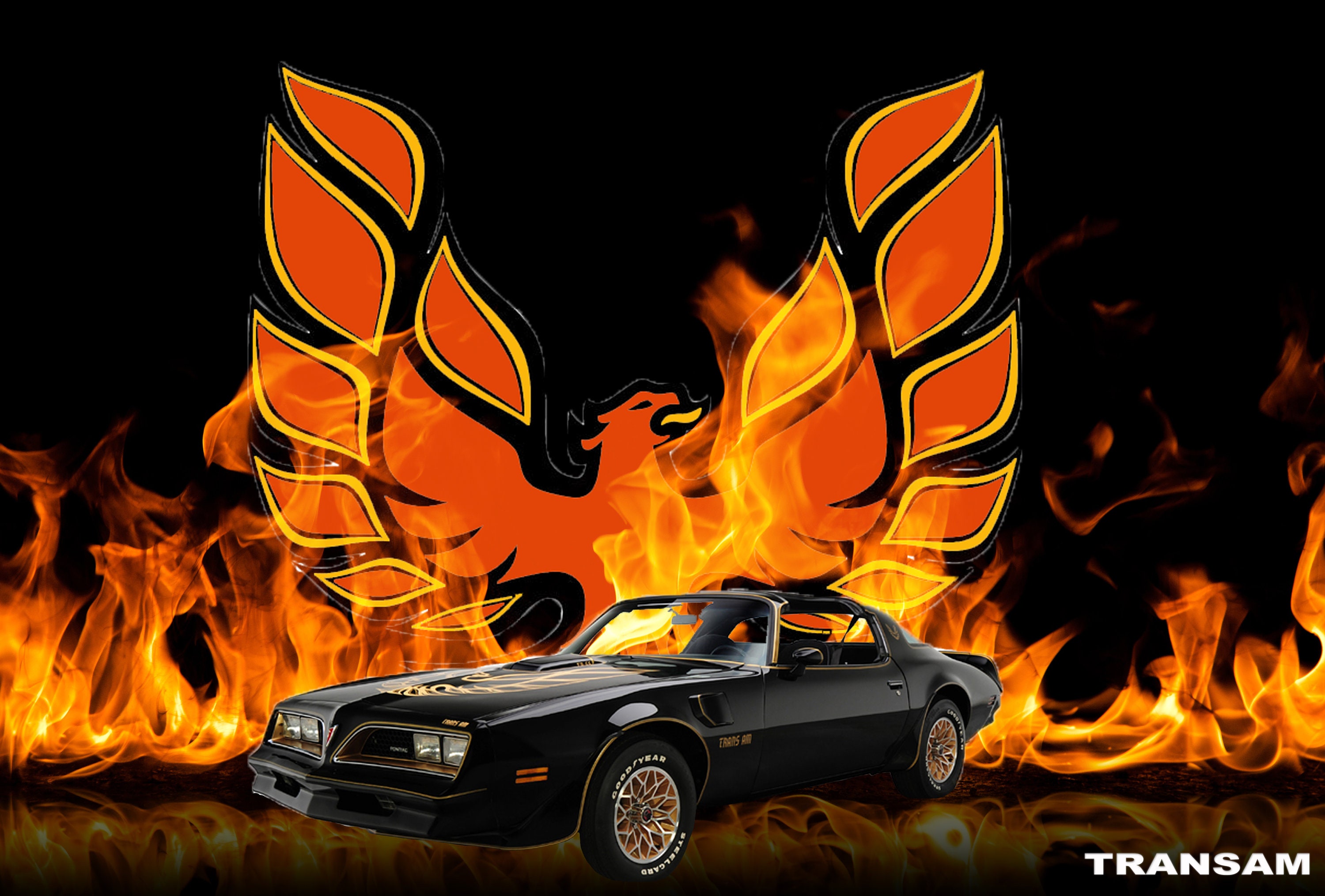 1967 Firebird, Protrait Art, Racing Car, Art Print, Car Guy Gift ...