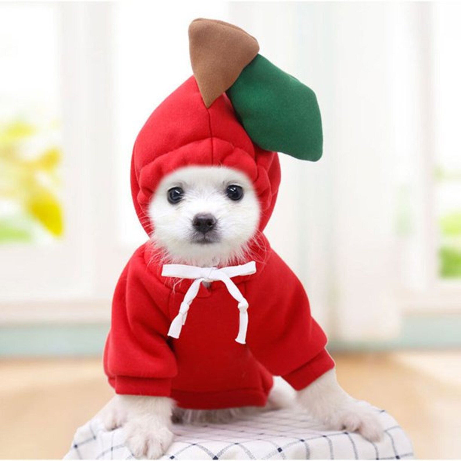 Dog Winter Warm Clothes Cute Plush Coat Hoodies for Dogs Pet | Etsy