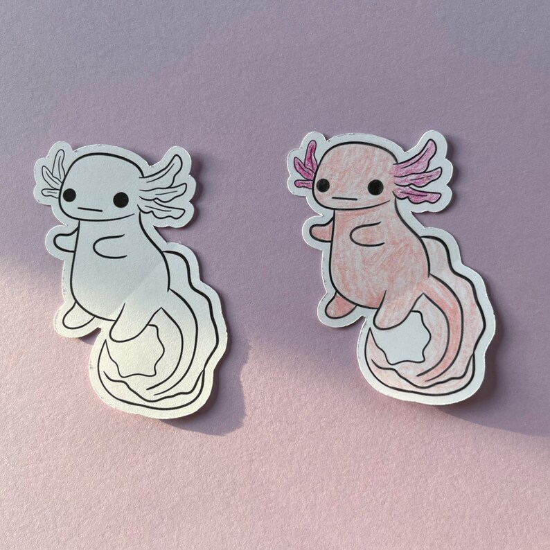 Derpy Axolotl Coloring Sticker Axolotl Sticker - Etsy