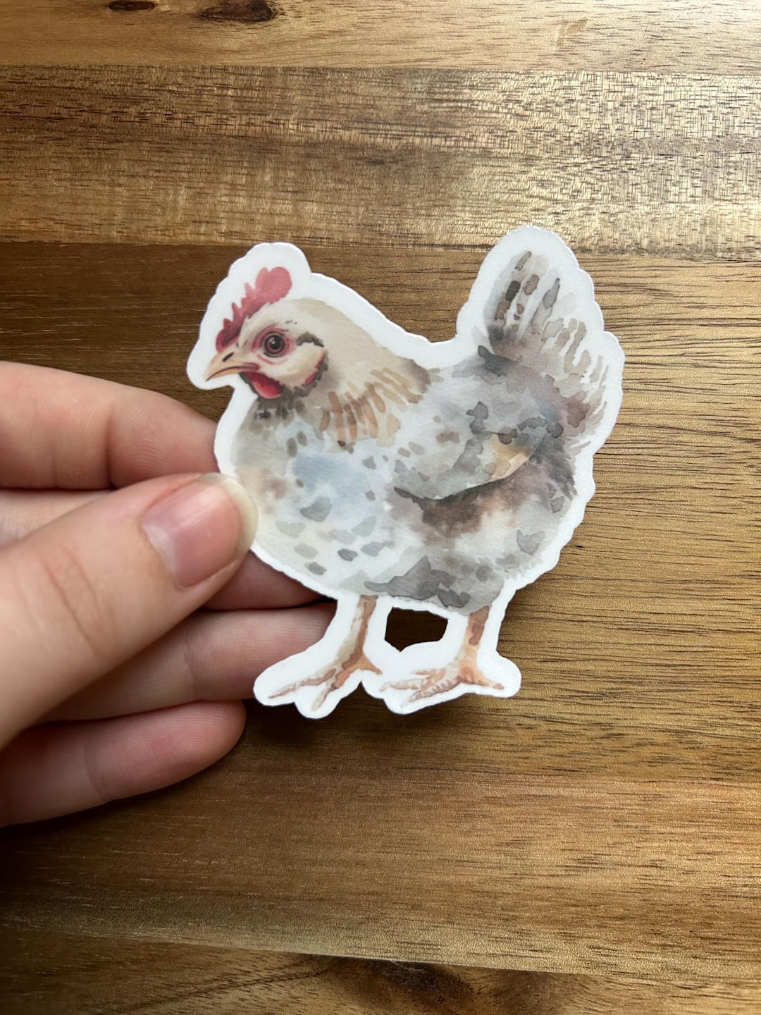 Chicken Sticker | Hen Sticker | Chicken Lover Sticker | Farm Animal ...