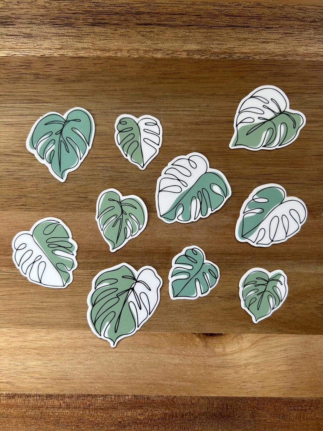 Monstera Leaf Sticker Pack | Plant Leaves Sticker | Gift for Plant ...