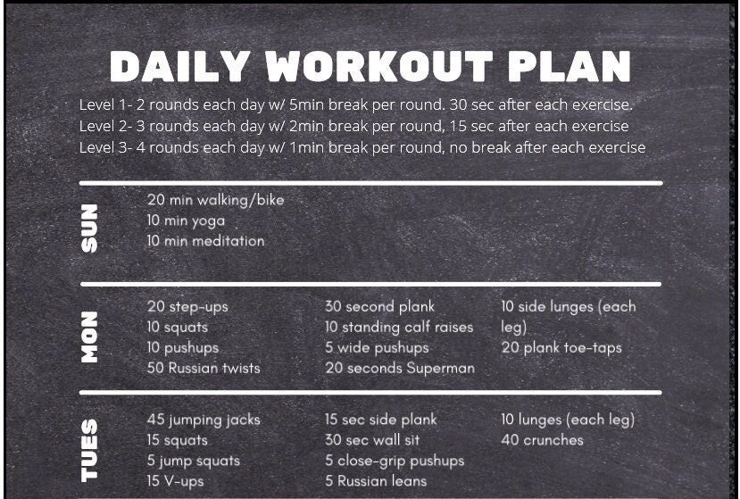 Combo Package Daily Planner, Daily Workout 1 & 2 and Ab Program - Etsy