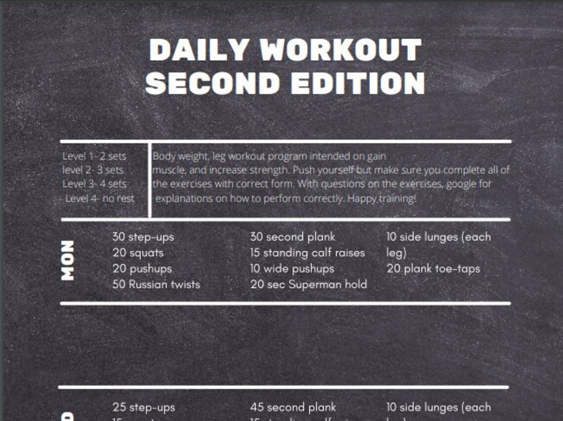 Combo Package! Daily Planner, Daily Workout #1 & #2 and Ab Program - Etsy