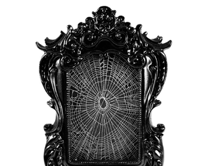 Small Preserved Spider Web Mini Black Frames Various Sizes - Etsy