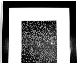 Spider Real - Etsy
