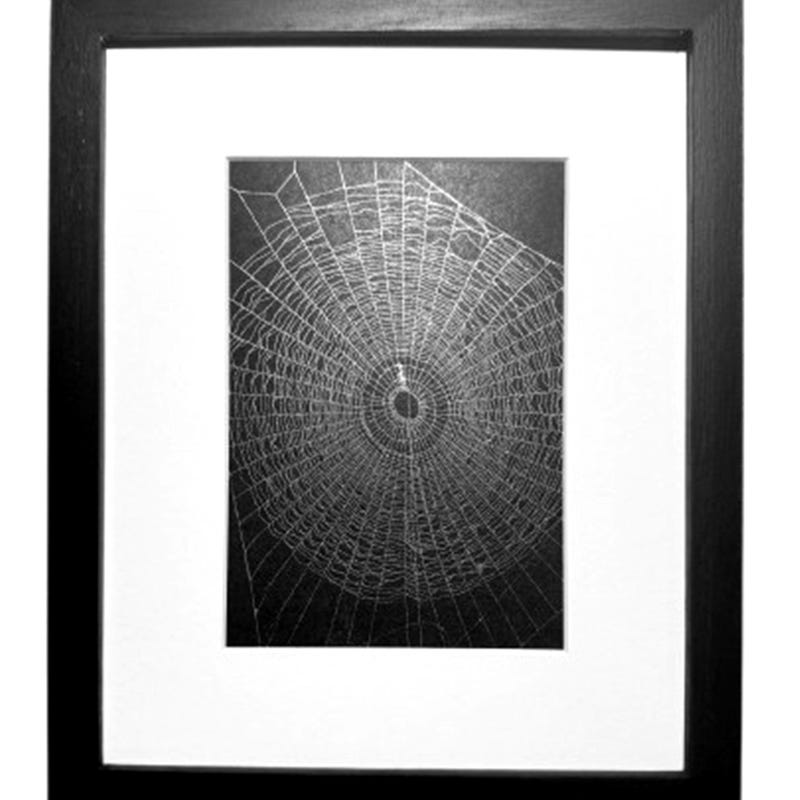 8x10 Spider Web - Etsy