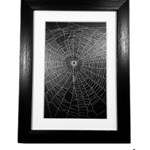 Spider - Etsy UK