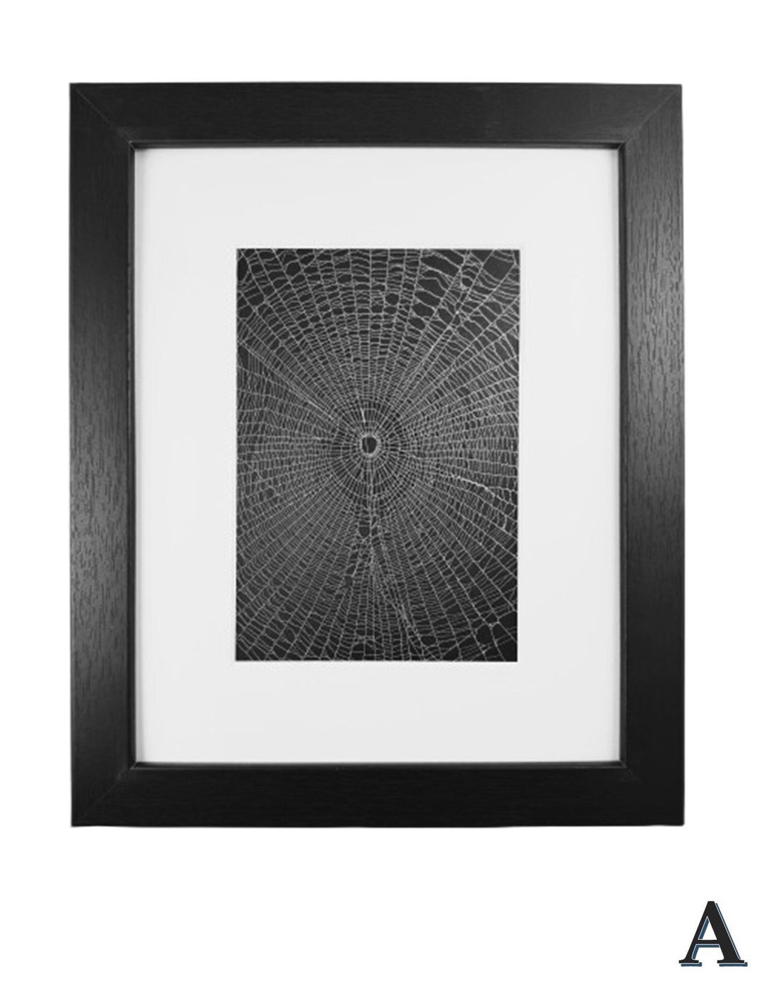 Real Preserved Spider Web Matted and Framed 8x10 Frame With 5x7 Opening ...