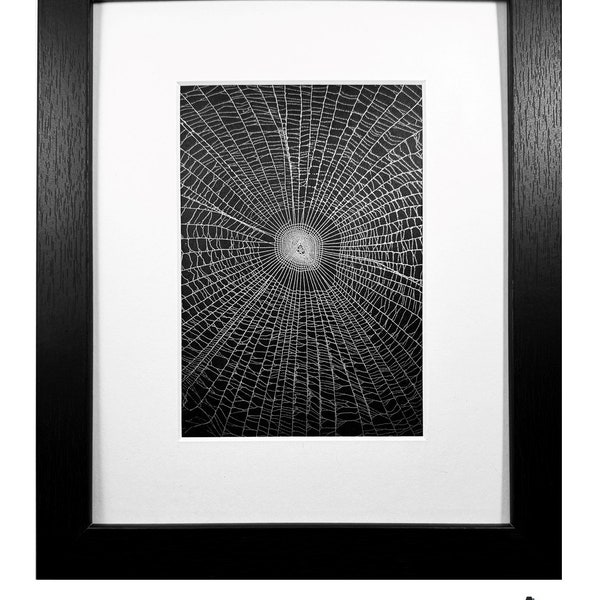 Framed Spider Web - Etsy