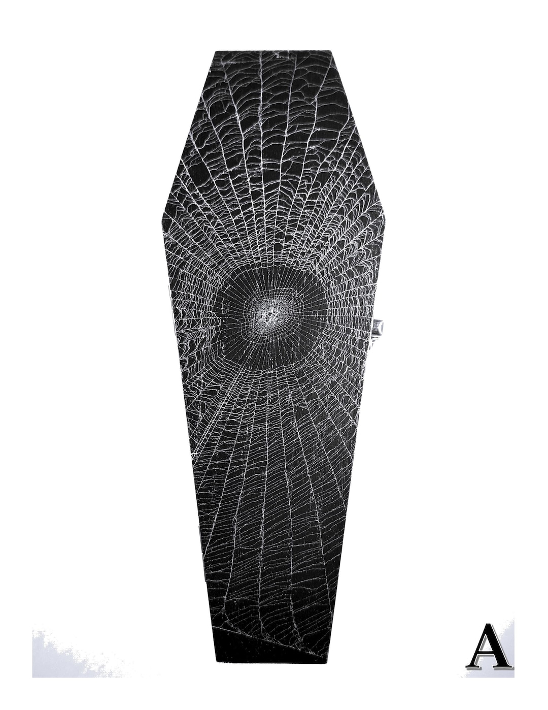 Real Spider Web Coffin Wooden Trinket Stash Box - Etsy