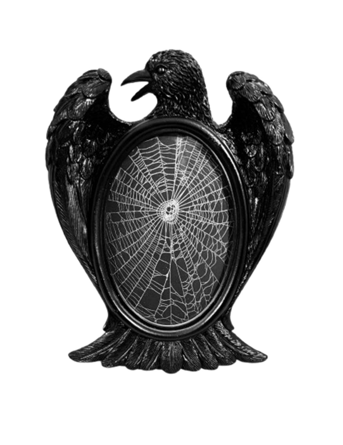 Real Preserved Spider Web in 4x6 Black Raven Frame Vintage Gothic ...