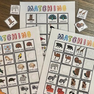 Animal Activity Set- Therapy- Autism- Velcro Matching- Sorting- Speech ...