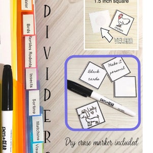 Animal Activity Set- Therapy- Autism- Velcro Matching- Sorting- Speech ...