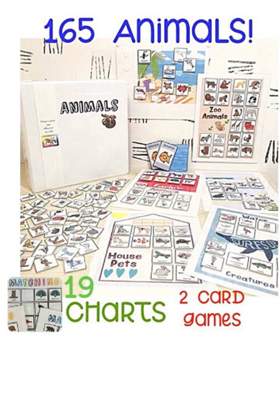 Animal Activity Set Therapy Autism Velcro Matching | Etsy