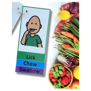 Visual Aid Booklet Trying New Food- Autism- Therapy - Etsy