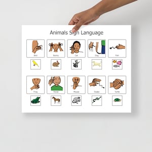 Animals Sign Language- Poster - Etsy