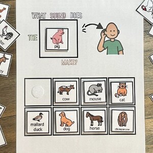 Animal Activity Set- Therapy- Autism- Velcro Matching- Sorting- Speech ...