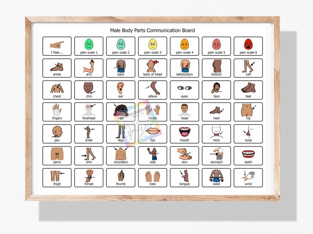 Male Body Parts and Pain Scale Communication Board for Doctors Office ...