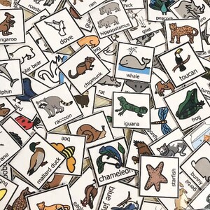 Animal Activity Set- Therapy- Autism- Velcro Matching- Sorting- Speech ...