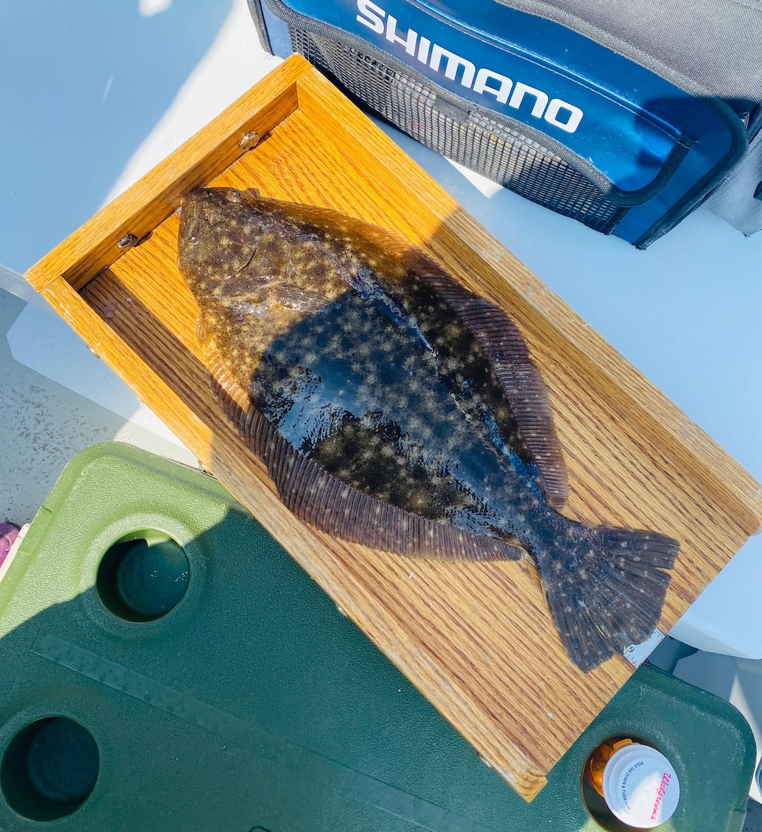 Fish Measuring Board. Great for Salt or Freshwater Fishing. Measure ...