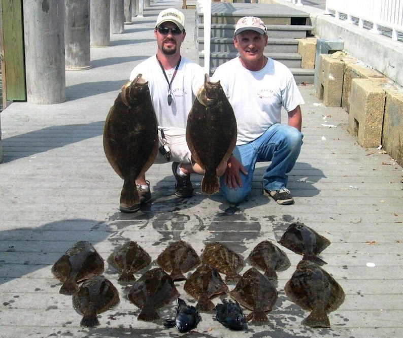 Fluke DESTROYER B2 Squid Summer Flounder Fishing Rigs Lures Gamakatsu ...