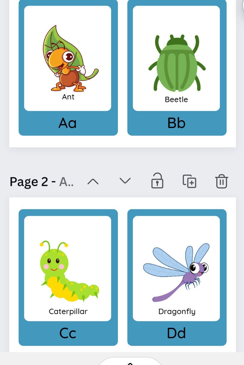 Phonics Insect Flashcards - Etsy