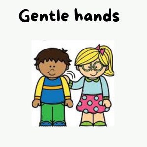 Visual Classroom Rules (med-large) - Etsy