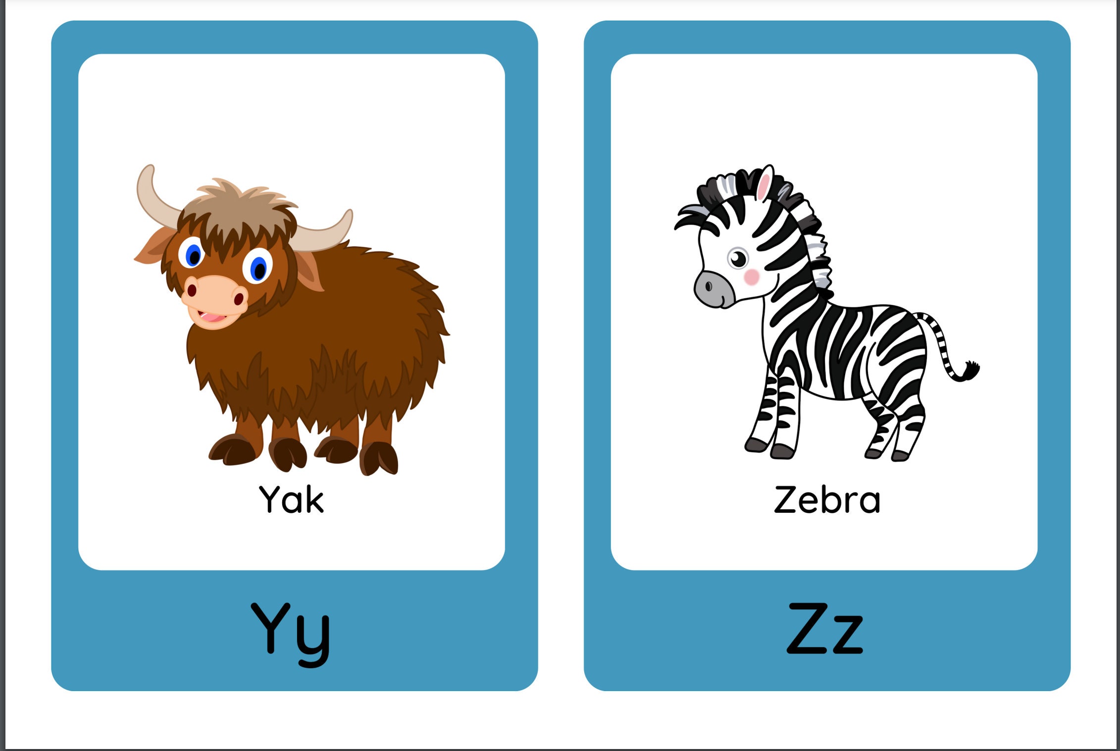 Phonics Card Animals - Etsy