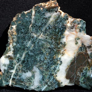 A225 2.3oz Thick Slab Rare Green Mossy Hampton Butte Petrified Wood ...