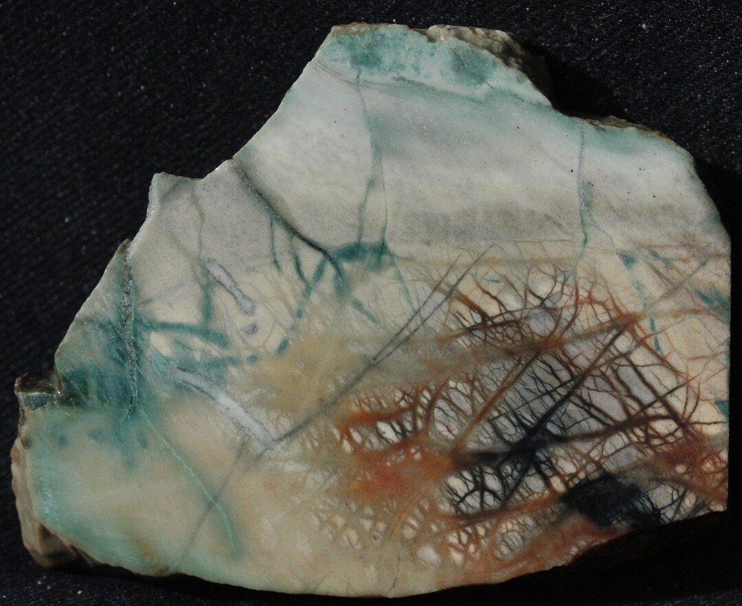 S191 2.5 Oz Thick Slab of Rare Green Picasso Marble Utah - Etsy
