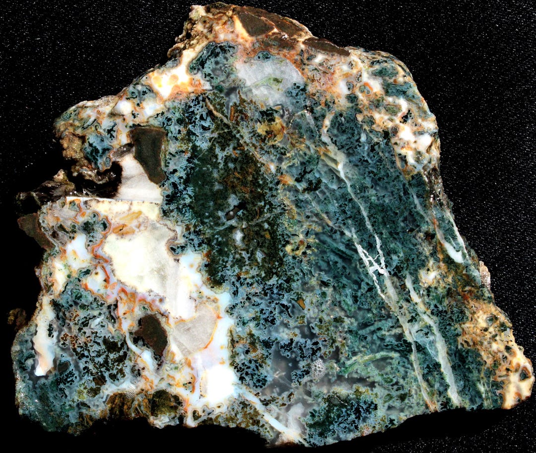 A225 ~ 2.3oz Thick Slab Rare Green Mossy Hampton Butte Petrified Wood ...